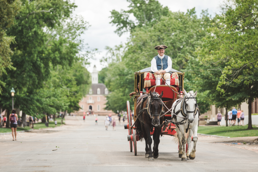 Colonial Williamsburg: Unexpected Art, Animals, and American History ...